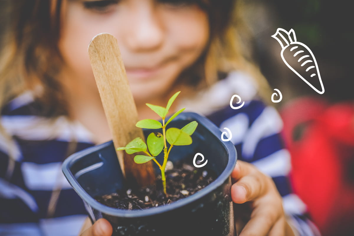 5 Easy Plants for Kids to Grow on Their Own!